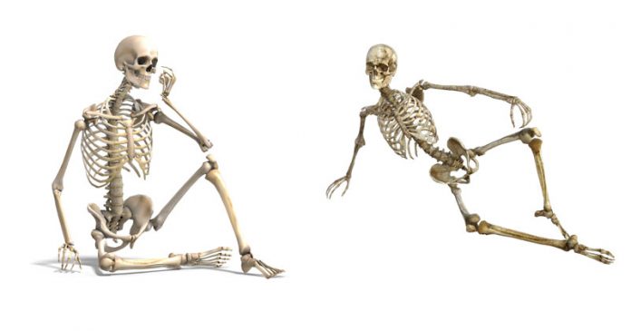 Types Of Bones In Hindi Bones Kitne Prakar Ke Hote Hain 206 Bones types-of-bones-in-hindi-bones-kitne-prakar-ke-hote-hain-206-bones