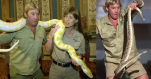 Viral Video | Steve Irwin | Social Media | Snake Rescue | Entertainment