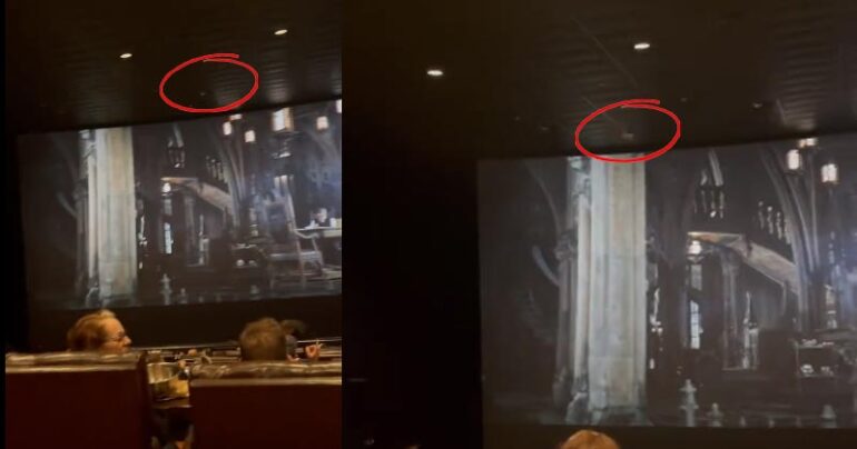 Real Bat Swoops Into ‘The Batman' Screening in Austin